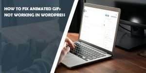 How to Fix Animated GIFs Not Working in WordPress