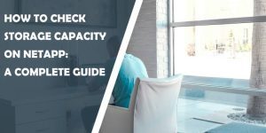 How to Check Storage Capacity on NetApp: A Complete Guide - WP Pluginsify