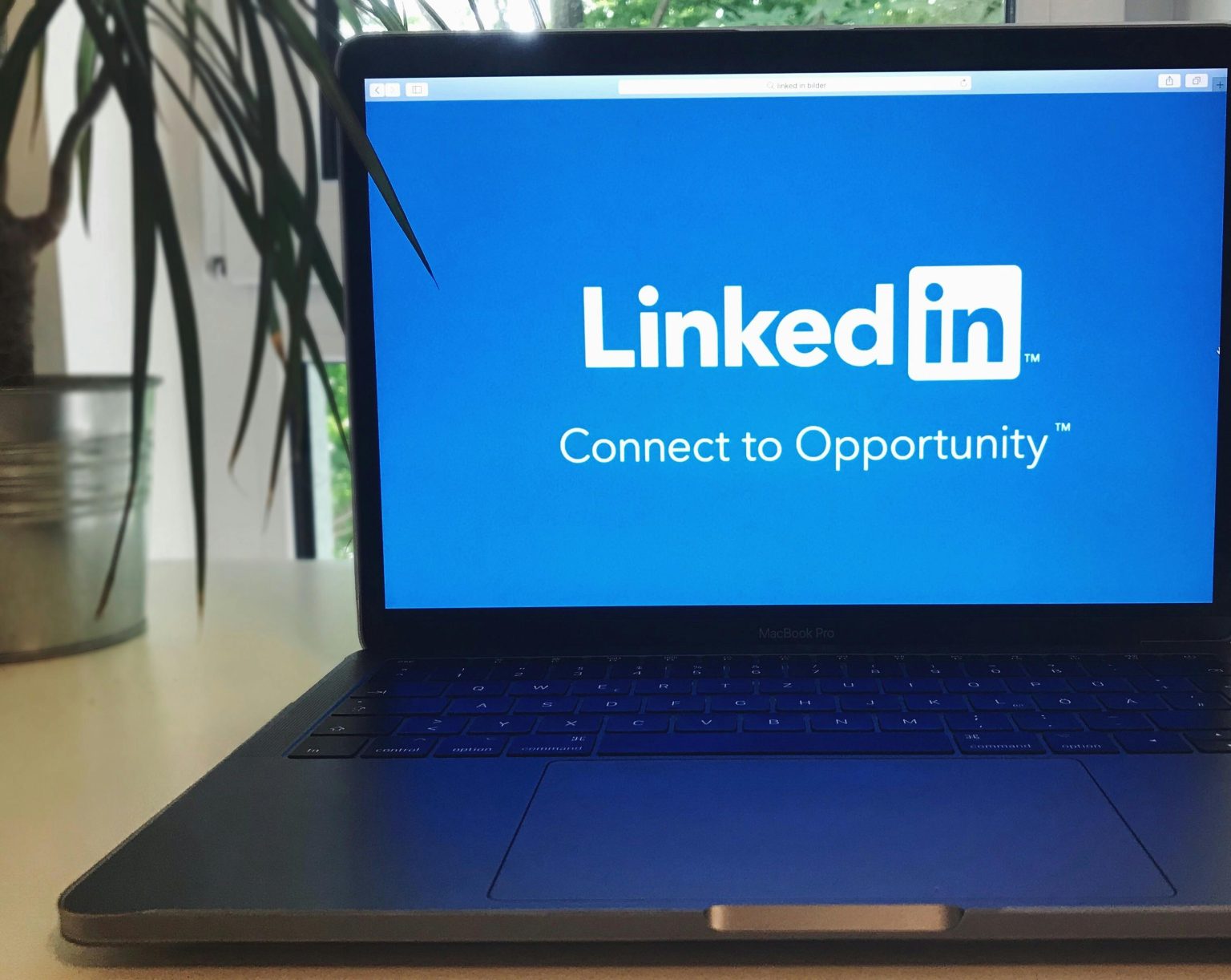 How to Add School Interests to LinkedIn - WP Pluginsify