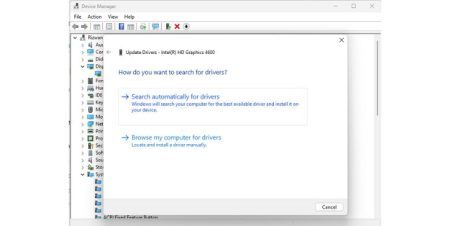 How to Update Graphics Drivers on Windows 11 (Step-by-Step Guide) - WP ...
