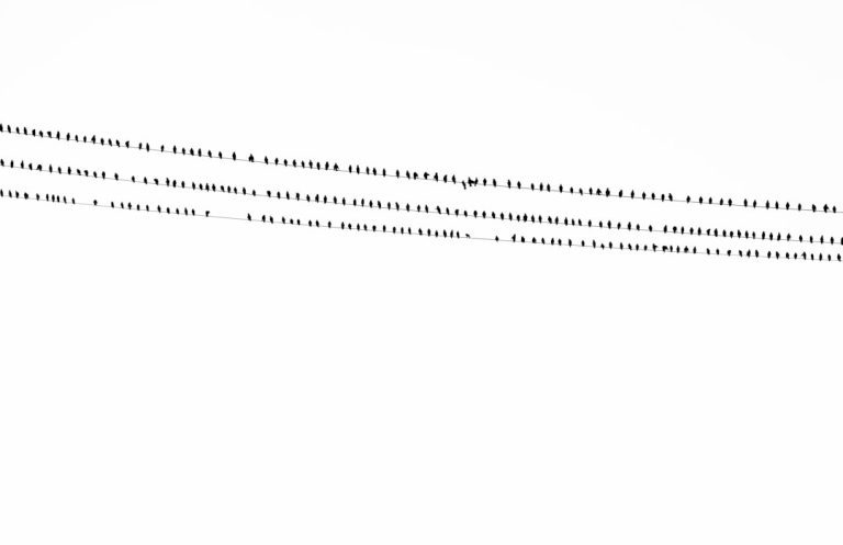 How To Use Sql Charindex To Search Within Strings Wp Pluginsify