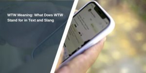 WTW Meaning: What Does WTW Stand for in Text and Slang