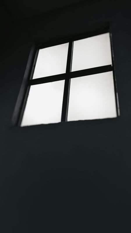 Clear DNS Cache on Windows: CMD & PowerShell Methods - WP Pluginsify